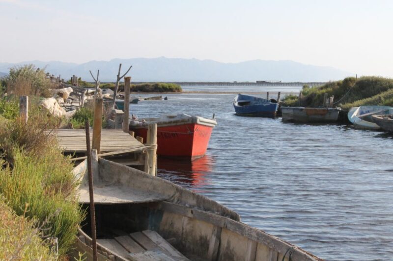 Ebro Delta: Northern Delta Guided Tour with a Local - Introduction to the Tour Experience