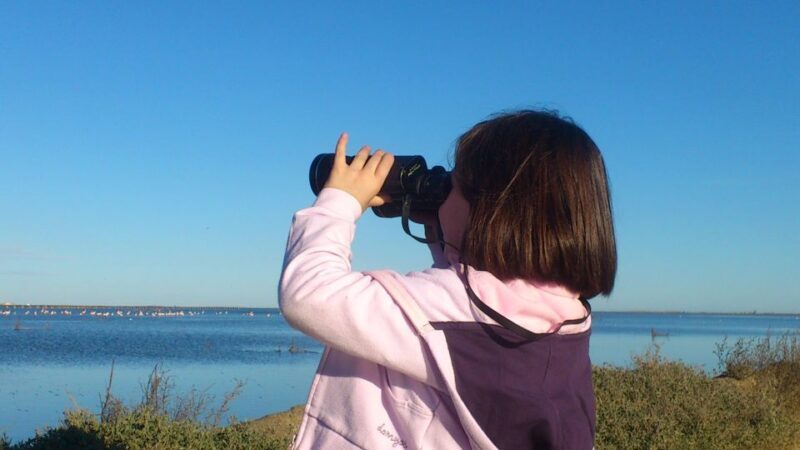 Ebro Delta: Northern Delta Guided Tour with a Local - Why This Tour Offers Excellent Value
