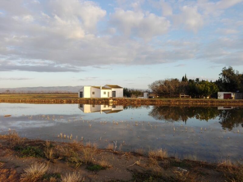 Ebro Delta: Northern Delta Guided Tour with a Local - Practical Details and Tips