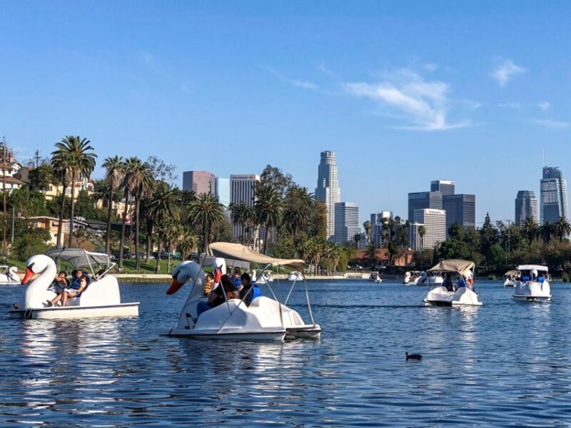 Echo Park Lake: Swan Pedal Boat Rental - Exploring Echo Park Lake: A Close-Up on the Swan Pedal Boat Experience