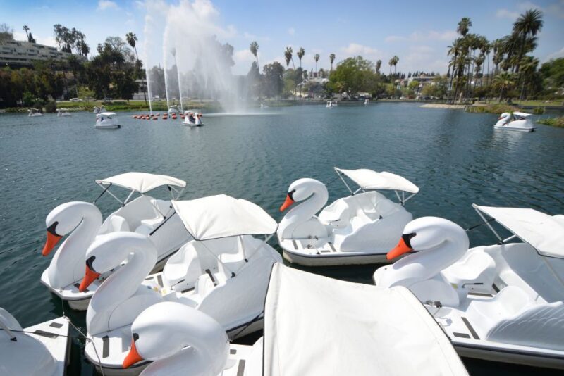 Echo Park Lake: Swan Pedal Boat Rental - Final Thoughts: Is It Worth It?