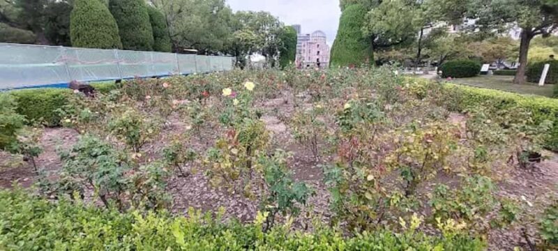 Echoes of Hope: Through Hiroshima Guided Walking Tour - Introduction