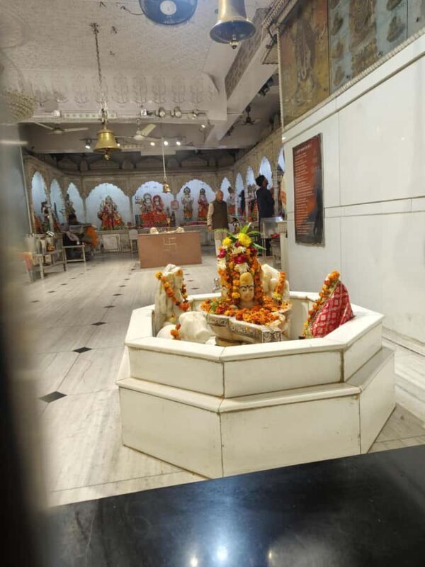 Echoes of Shahjahanabad: The Peoples Delhi - Who Should Consider This Tour?