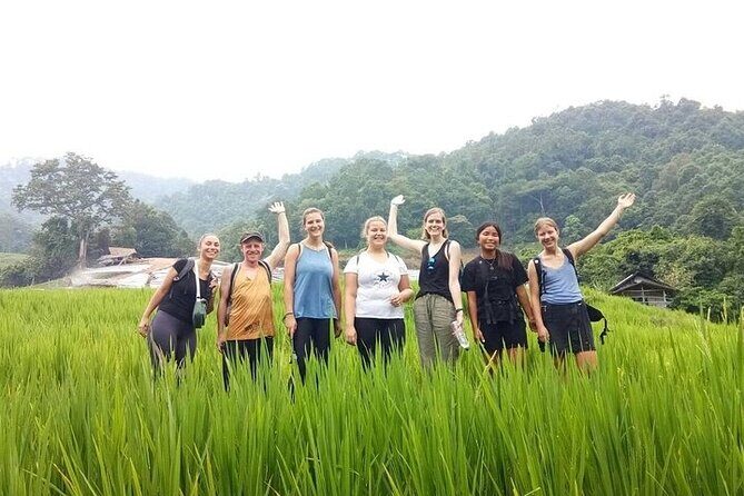 Eco 1.45Hours Hiking @Pha Dok Siaw + Doi Inthanon & Royal Project - An In-Depth Look at the Tour Experience