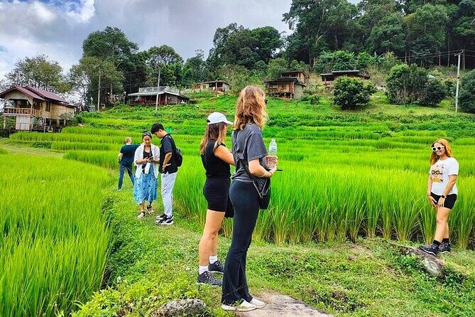 Eco 1.45Hours Hiking @Pha Dok Siaw + Doi Inthanon & Royal Project - Practical Tips for Travelers