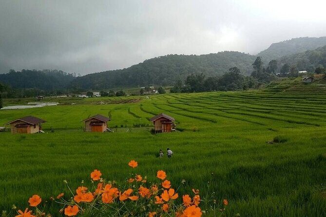 Eco 1.45Hours Hiking @Pha Dok Siaw + Doi Inthanon & Royal Project - The Sum Up: Who It’s Best For