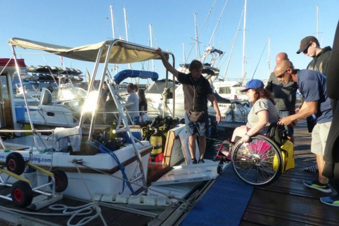 Eco Adapted Diving in Tenerife - A Detailed Look at Eco Adapted Diving in Tenerife