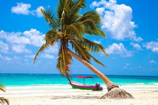 Eco Adventure At 3 Cenotes & 1 Lagoon ! From Cancun & Riviera - The Value Proposition