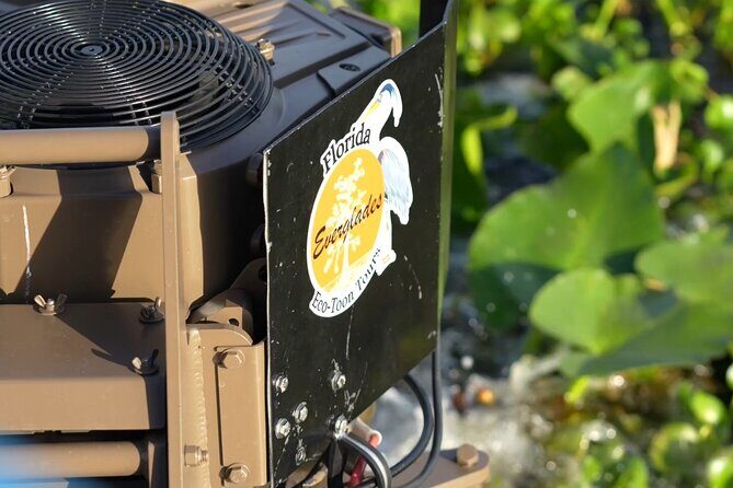 Eco Adventure Scenic Wildlife Boat Cruise - Exploring the Details of the Eco Adventure Scenic Wildlife Boat Cruise