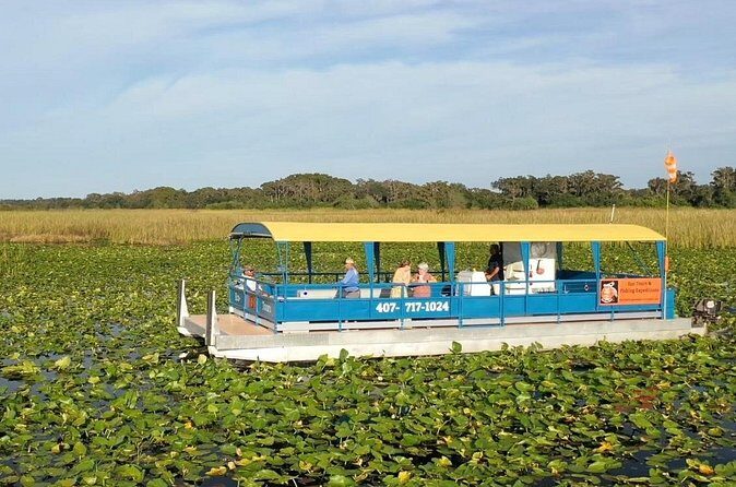 Eco Adventure Scenic Wildlife Boat Cruise - Who Will Enjoy This Tour?