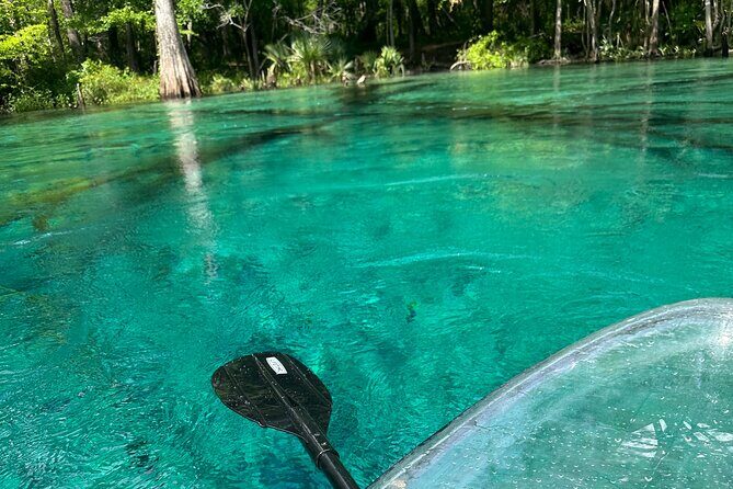 ECO adventure to Cypress Springs by Paddle Board or Kayak - Discovering the Cypress Springs Adventure