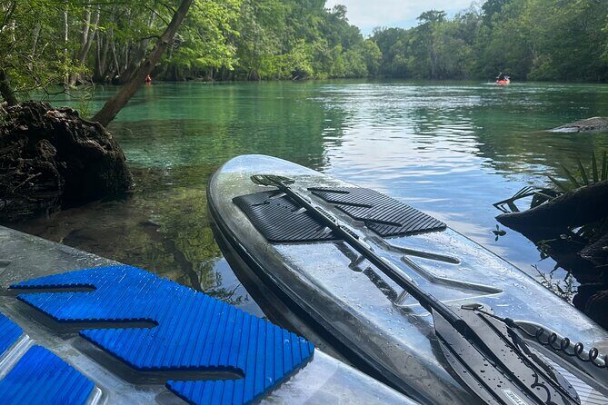 ECO adventure to Cypress Springs by Paddle Board or Kayak - Potential Drawbacks