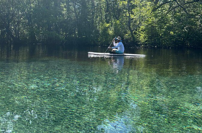 ECO adventure to Cypress Springs by Paddle Board or Kayak - Final Thoughts