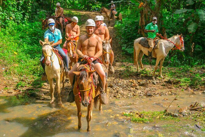 Eco Aventure Park+ Zipline+Horseback Ride+Buggy - What the Reviews Say