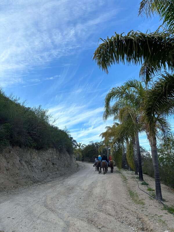 Eco Canyon Horseback Riding Excursion - An Honest Look at the Eco Canyon Horseback Riding Experience