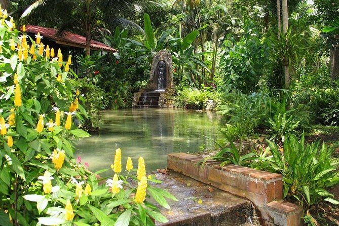 Eco Explorers Waterfall, Rainforest, local Shopping with lunch - Who Should Consider This Tour?
