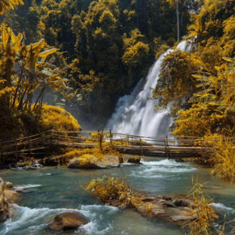 Eco-Friendly: Doi Inthanon & Pha Dok Siew Trekking Day Trip - Is This Tour Worth Your Time?