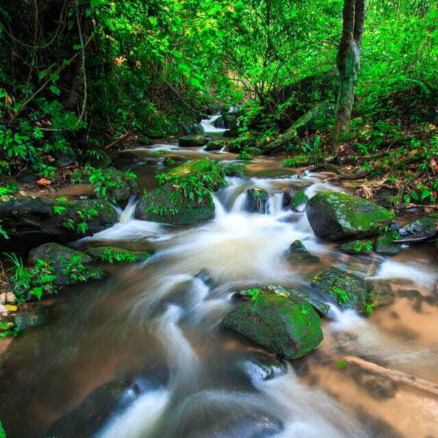 Eco-Friendly: Doi Inthanon & Pha Dok Siew Trekking Day Trip - The Sum Up