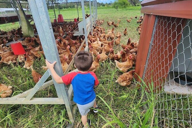 Eco Friendly Farming Tour to Explore Dorado's Most Beautiful Farm - A Detailed Look at the Farm Experience