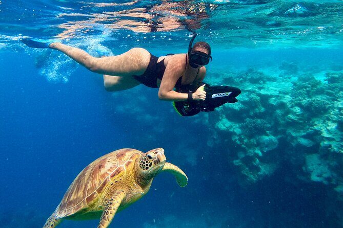 Eco Friendly Sea Scooter Turtle Tour in Rarotonga - What Makes the Moana Sea Scooters Turtle Tour Stand Out?