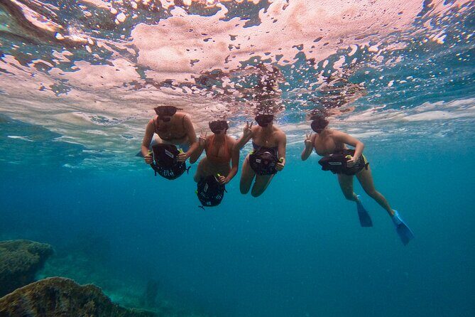 Eco Friendly Sea Scooter Turtle Tour in Rarotonga - The Value of This Adventure