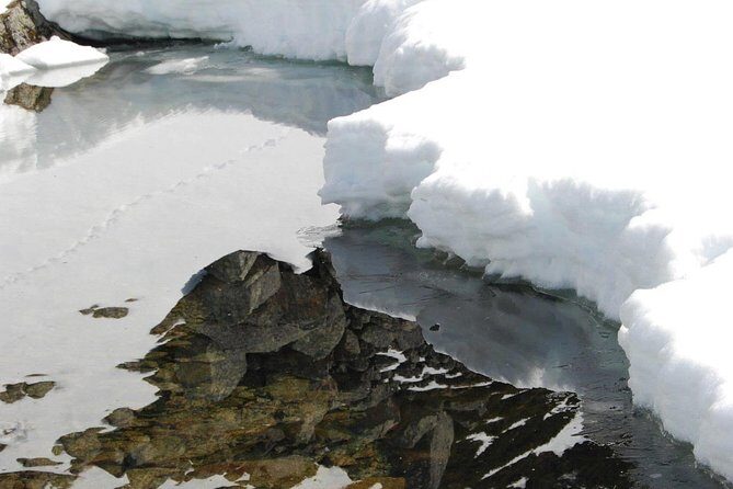 Eco friendly snowshoeing in Scenic Landscape - The Experience Provider