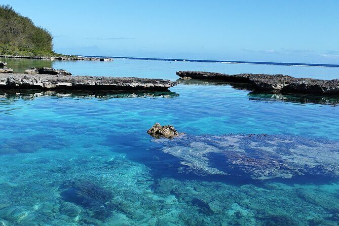 Eco Kayak Excursion in Moorea Lagoon for a Day - Price and Value