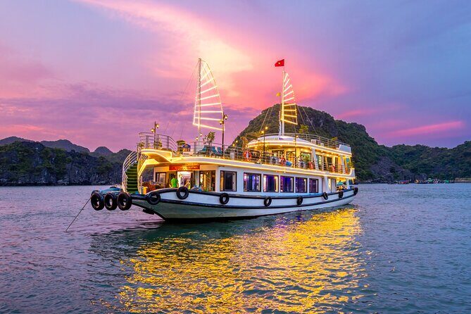 Eco Night Kayak Cruise: Bioluminescent Plankton in Lan Ha Bay - Discover the Magic of Lan Ha Bay’s Bioluminescent Plankton with a Night Kayak Cruise