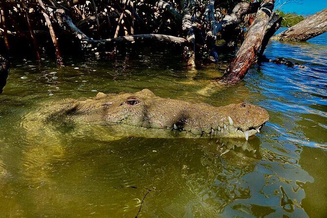 Eco Safari through the Ria Lagartos Natural Park - The Sum Up