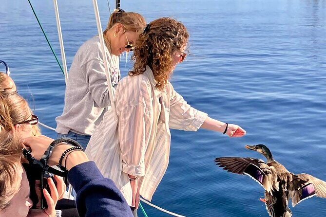 Eco Sailing Tour to Maori Rock Carvings on Lake Taupo - Authentic Traveler Feedback