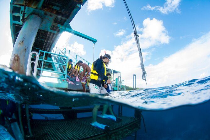 Eco Snokeling in Piti Bay Marine - The Value and Practicality