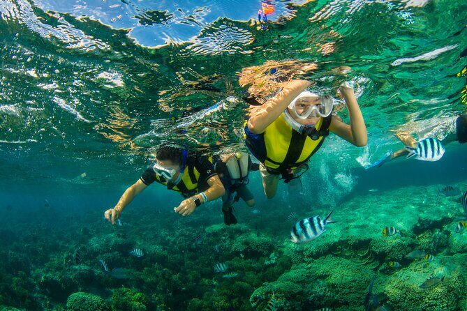Eco Snokeling in Piti Bay Marine - FAQ