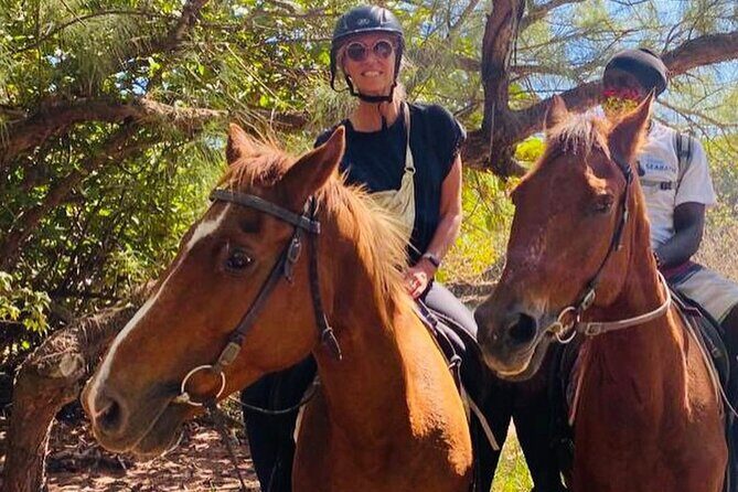 ECO Tour East Coast Barbados - Discovering Barbados Sustainably: What to Expect