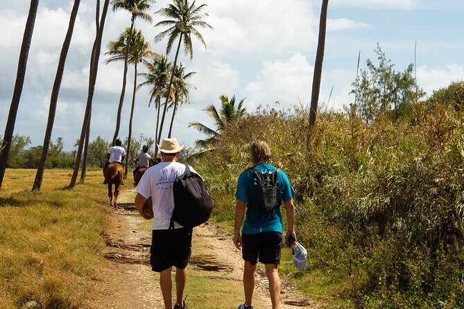 ECO Tour East Coast Barbados - Who Should Consider This Tour?