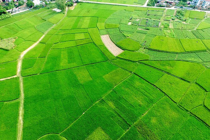 ECO TOUR in Bac Giang - 1 day experience as a farmer - The Sum Up: Who Will Enjoy This Tour Most?
