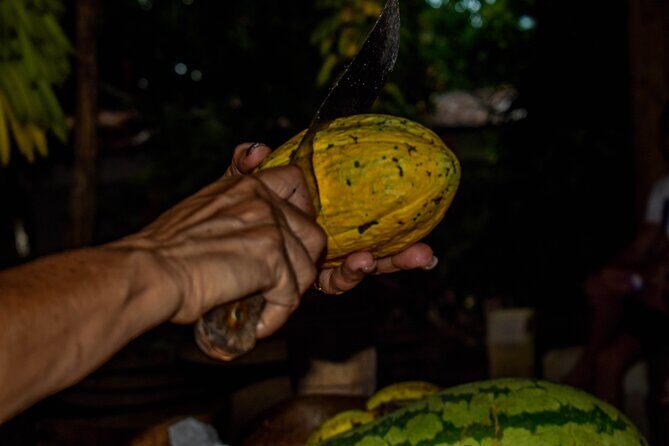 ECO TOUR Playa El Limon (Excursion Multi-activites) - Who Will Love This Tour?