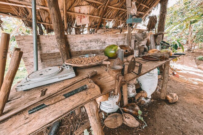 ECO TOUR Playa El Limon (Excursion Multi-activites) - FAQs