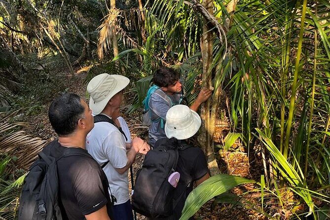 EcoHike experience through the jungle, mountains and hidden beach - Who Should Consider This Tour?