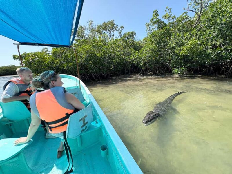 ECOSAFARI: Explore the mangroves, flamingos and crocodiles. - Key Points