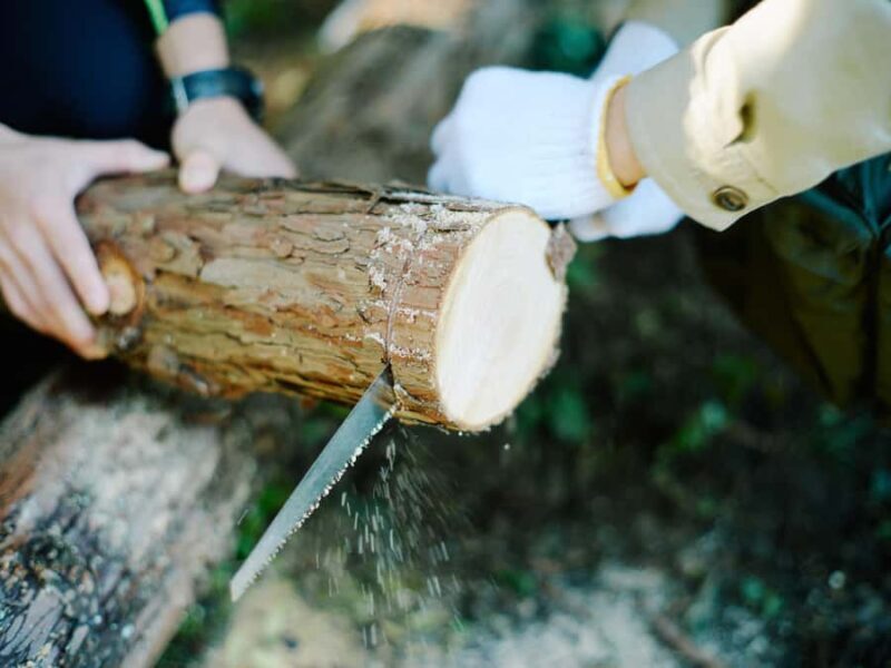 Ecotourism and Woodcraft with a Mountain Artist Near Tokyo - How This Tour Fits into Your Japan Travel