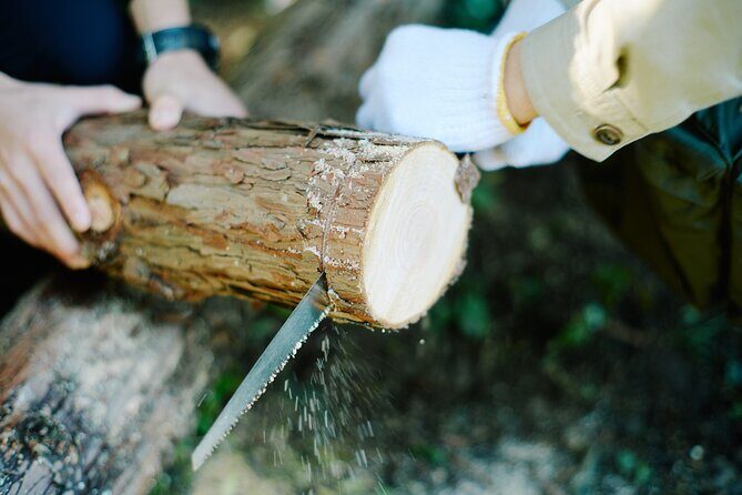Ecotourism and Woodcraft with a Mountain Artist Near Tokyo - A Closer Look at the Experience