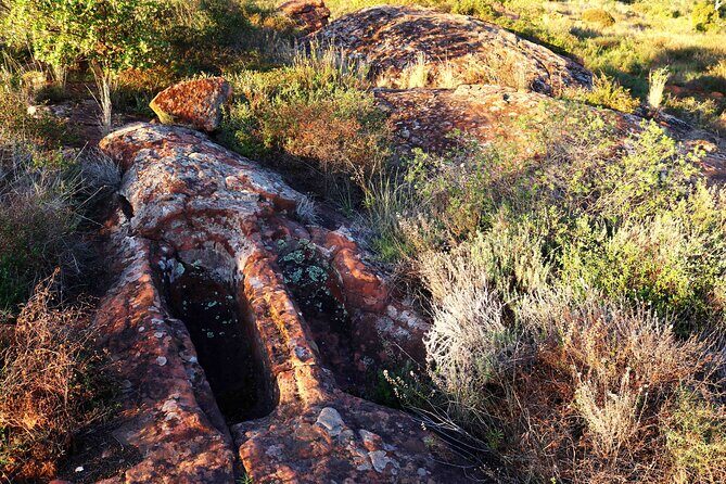Ecotourism experience with archaeological route, local gastronomy and art workshop - Final Thoughts: Who Is This Tour Best For?
