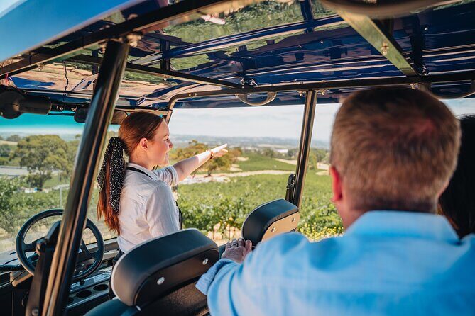 EcoVine Explorer Vineyard E-Cart Tours - A Deep Dive into the EcoVine Explorer Vineyard E-Cart Tour