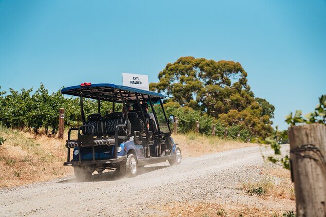 EcoVine Explorer Vineyard E-Cart Tours - Final Thoughts: Is It Worth It?