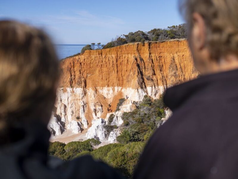 Eden: 2-Hour Highlights Tour, Nature, Beaches and Lookouts - An Honest Look at Eden’s Highlights in Just Two Hours