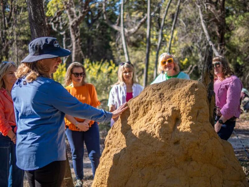 Eden: 2-Hour Highlights Tour, Nature, Beaches and Lookouts - FAQs