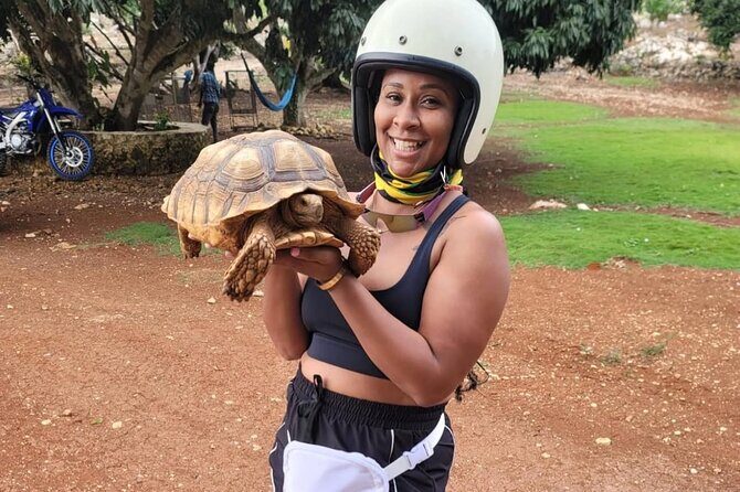 Eden Bay Private Airport Transfer - Final Thoughts