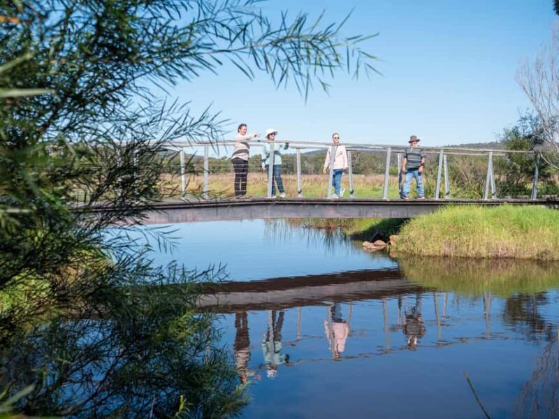 Eden: Panboola Wetlands and Potoroo Palace Tour with Lunch - Key Points