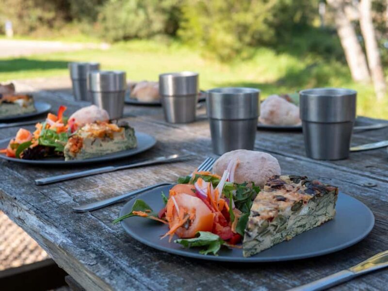 Eden: Panboola Wetlands and Potoroo Palace Tour with Lunch - What To Expect and Practical Tips