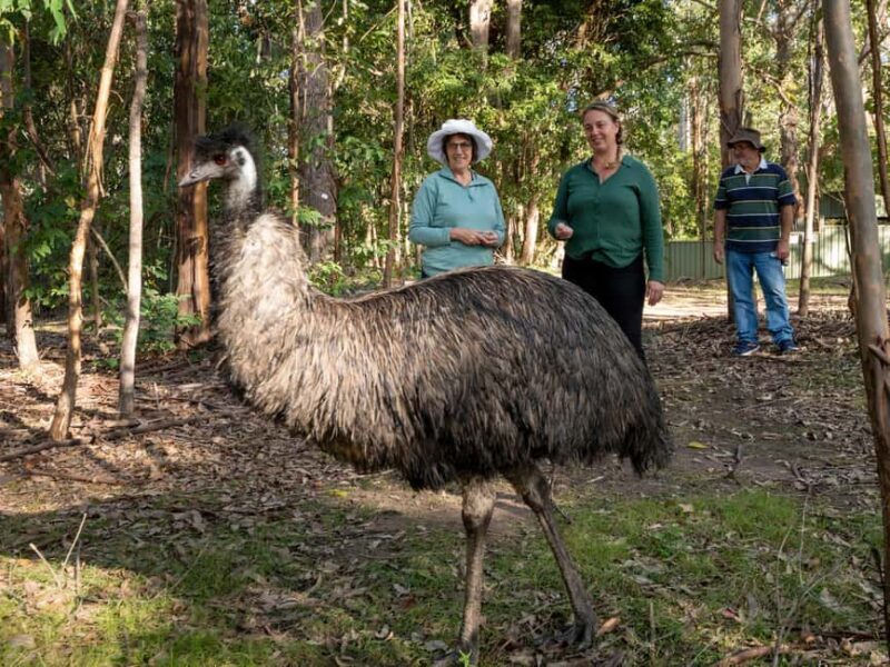 Eden: Panboola Wetlands and Potoroo Palace Tour with Lunch - Who Is This Tour Best For?